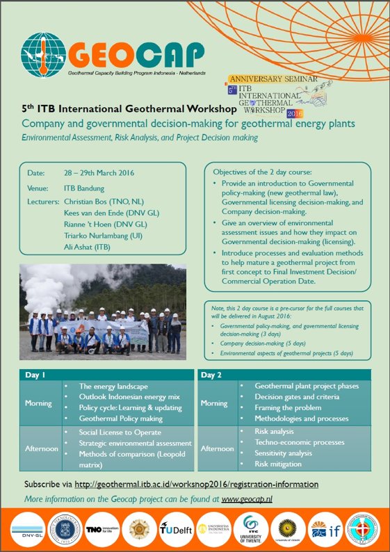 Company and governmental decision-making for geothermal energy plants